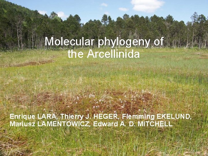 Molecular phylogeny of the Arcellinida Enrique LARA Thierry