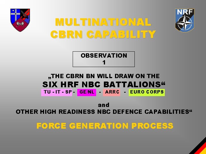 MULTINATIONAL CBRN CAPABILITY BRIEFED TO THE INTERNATIONAL PANEL