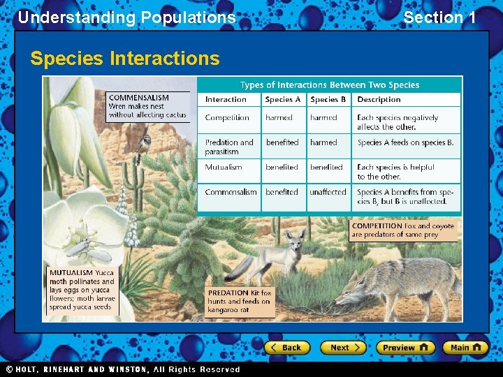 Understanding Populations Section 1 Chapter 8 Understanding Populations
