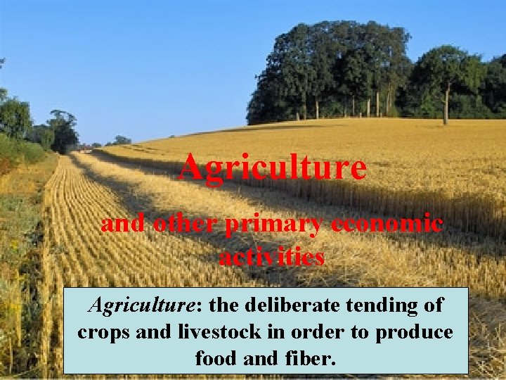 Agriculture and other primary economic activities Agriculture the