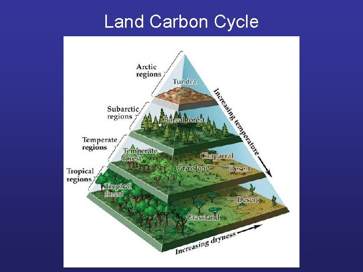 Carbon Dioxide Friend or Foe The terrestrial carbon
