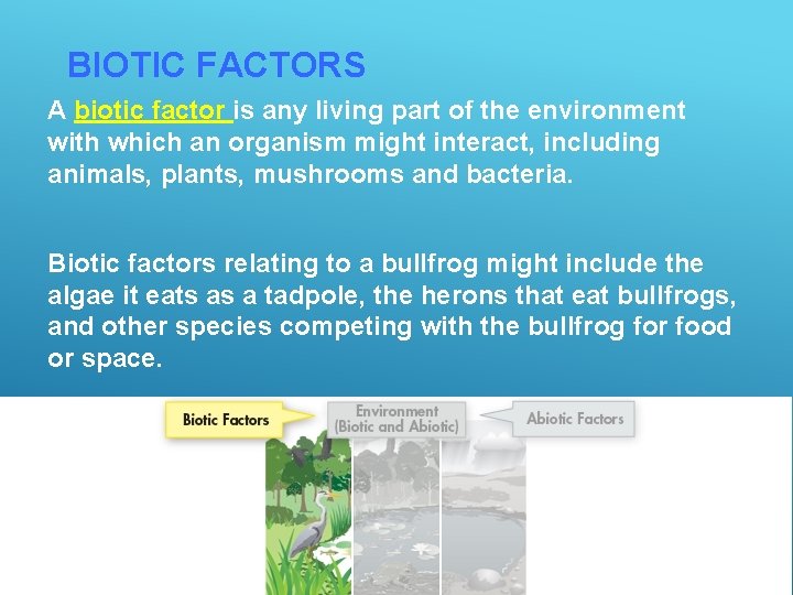 ECOSYSTEMS AND BIOMES REVIEW ECOLOGICAL LEVELS OF ORGANIZATION