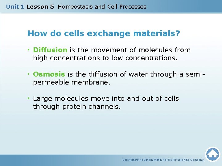 Unit 1 Lesson 5 Homeostasis and Cell Processes