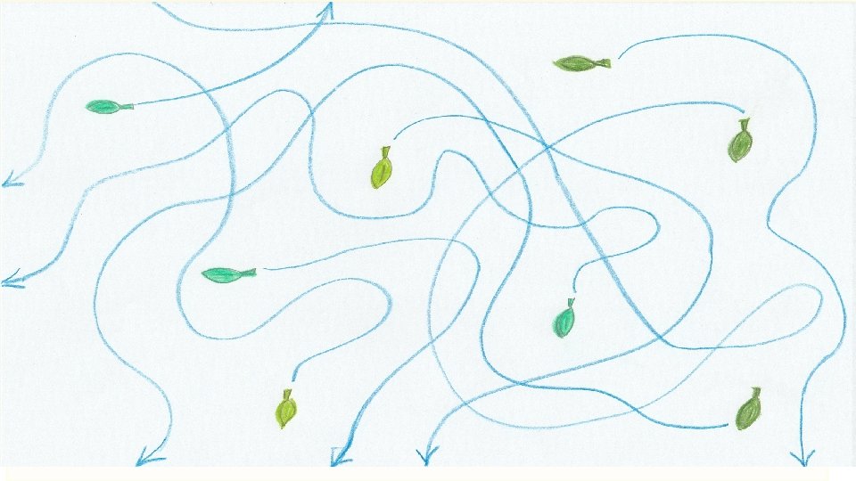 Grafomotorika Vrba ve vtru JEMN MOTORIKA KOORDINACE RUKY