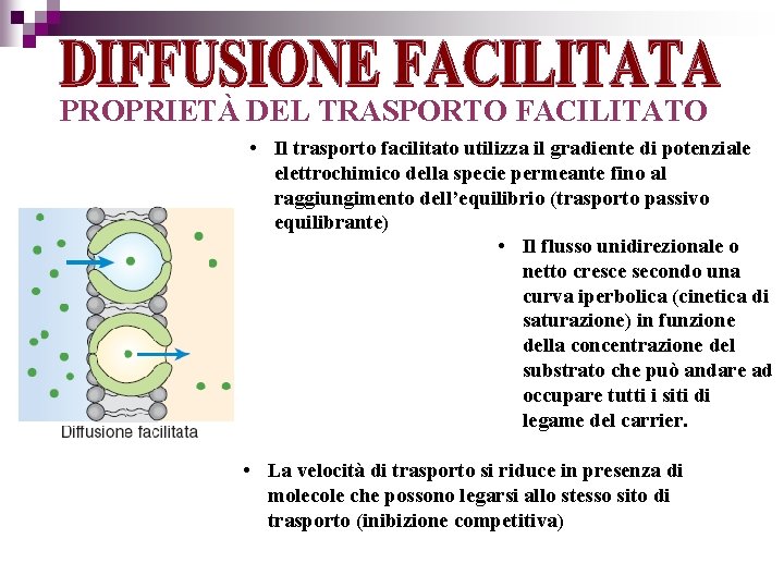 FENOMENI DI TRASPORTO I trasporti attraverso le membrane