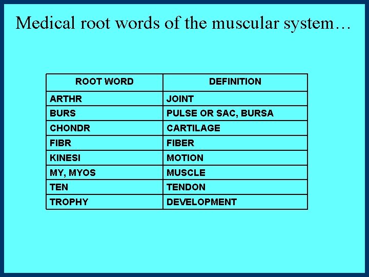 MEDICAL TERMINOLOGY PART 6 THE MUSCULAR SYSTEM Constructed
