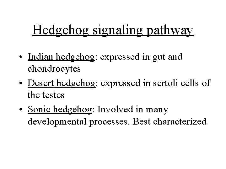 Hedgehog signaling pathway Indian hedgehog expressed in gut