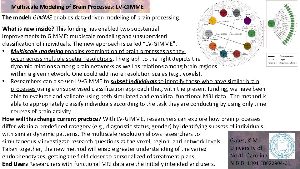Multiscale Modeling of Brain Processes LVGIMME The model