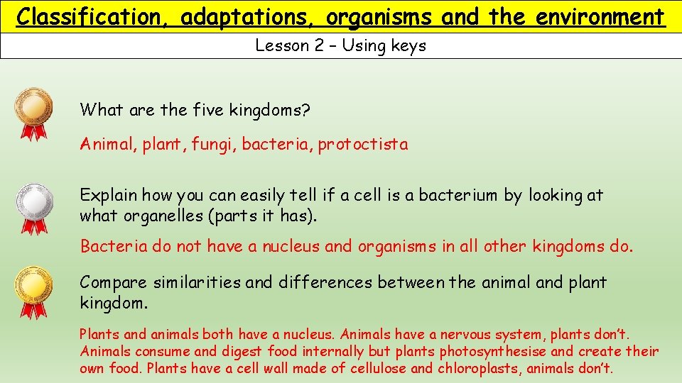 Classification adaptations organisms and the environment Lesson 2