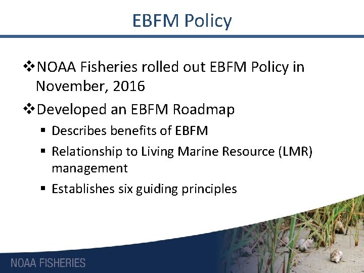 Developing a U S Caribbean Fishery Ecosystem Plan