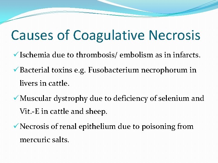 Necrosis Its Classification Subject Veterinary Pathology PaperI Unit