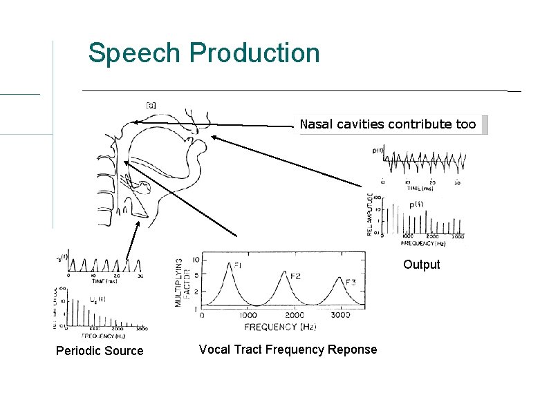Xkl A Tool For Speech Analysis Eric Truslow