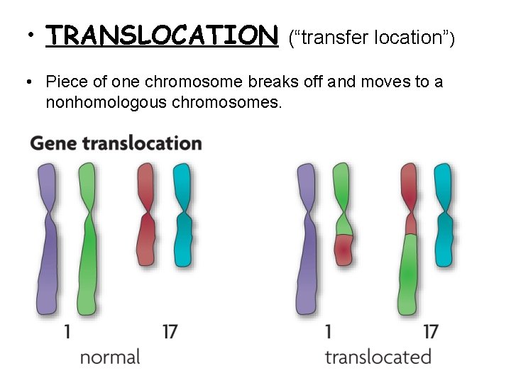 Central Dogma of Molecular Biology Genetic information flows