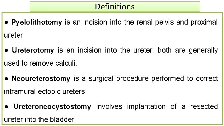 Urinary system Dr Ashraff Waleed Abdulrazaq Definitions Nephrectomy