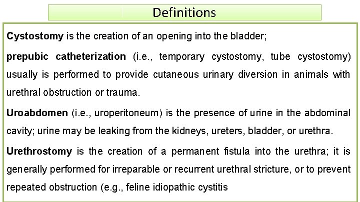 Urinary system Dr Ashraff Waleed Abdulrazaq Definitions Nephrectomy