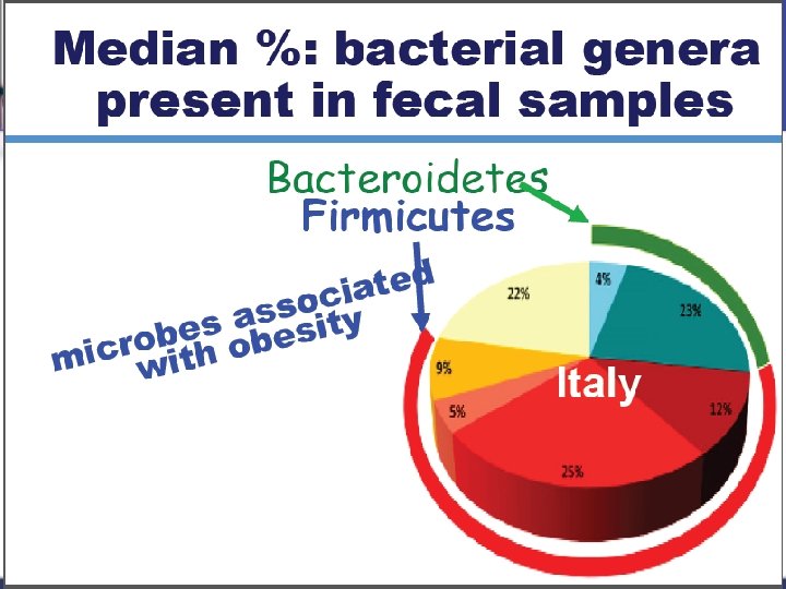 Gut Microbiota Obesity Metabolic Syndrome and Fatty Fiver