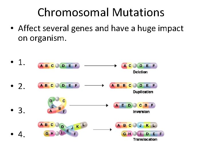 Mutations Any change in an organisms DNA Mutations
