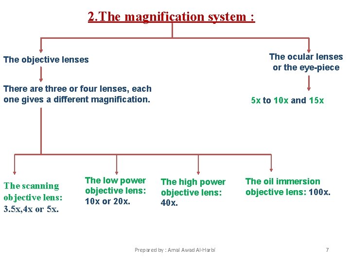 Microscopy Cell Structure Prepared by Amal Awad AlHarbi
