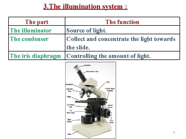 Microscopy Cell Structure Prepared by Amal Awad AlHarbi