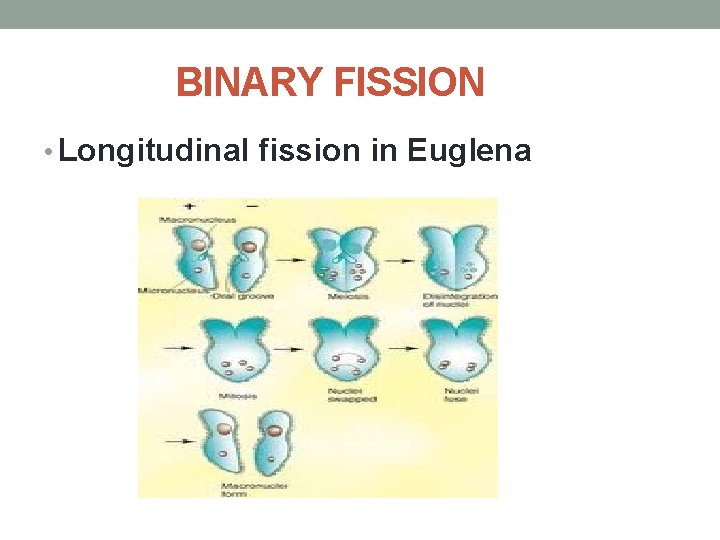 STANDARD 10 TH SUBJECT SCIENCE AND TECHNOLOGY UNIT