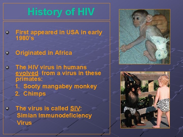 History of HIV First appeared in USA in