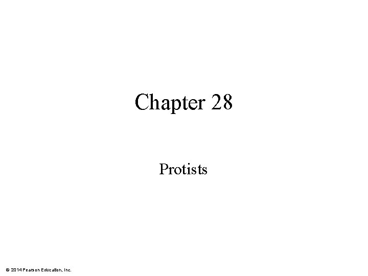 Chapter 28 Protists 2014 Pearson Education Inc Protists
