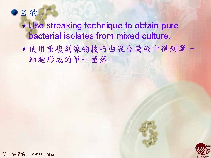 Use streaking technique to obtain pure bacterial isolates