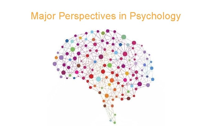 Major Perspectives in Psychology The 7 Perspectives These
