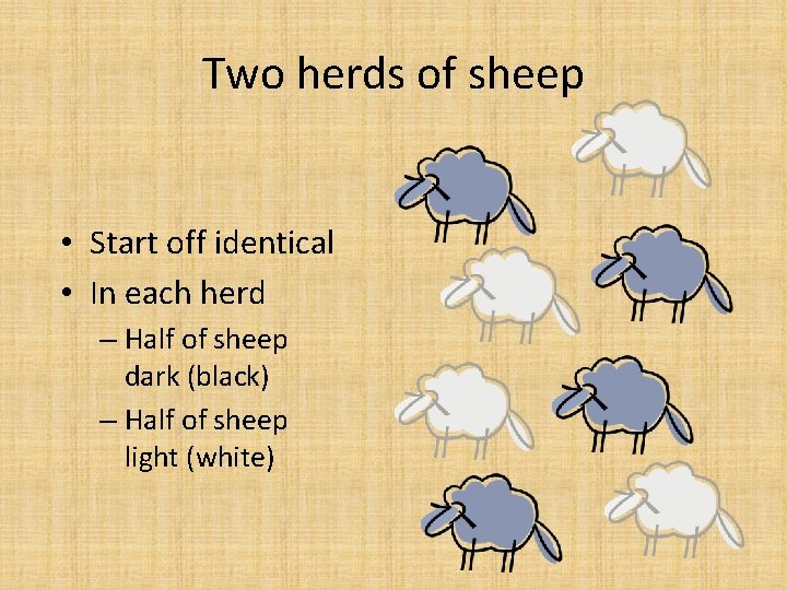 Darwins Big Idea LNW 09 Berg How sheep