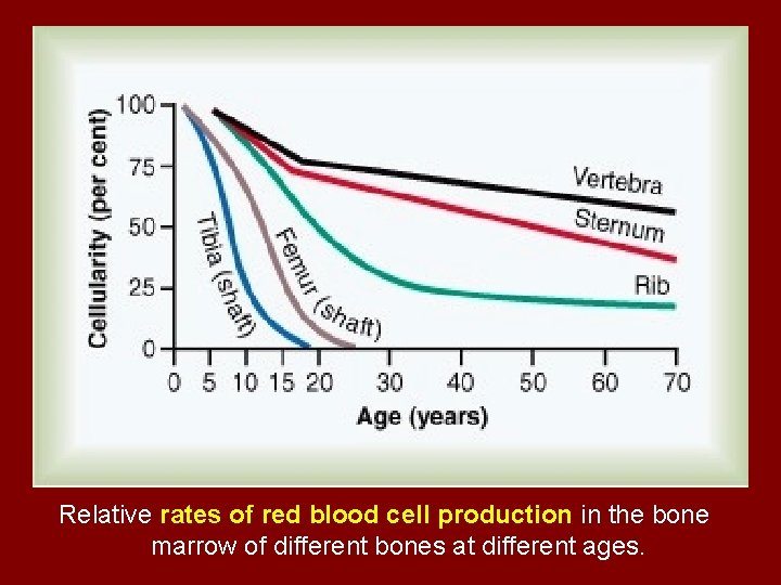 Erythropoiesis Dr Ghulam Mustafa MBBS Pb MPhil NUST