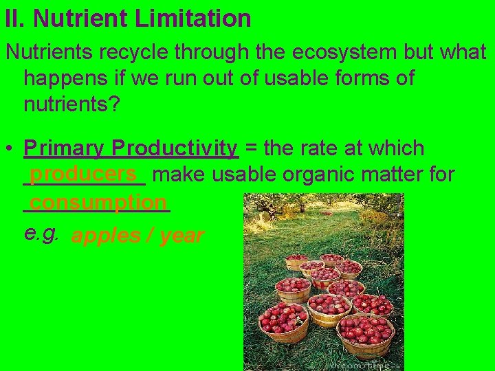 Biology Notes Nutrient Energy Cycles Part 2 Pages
