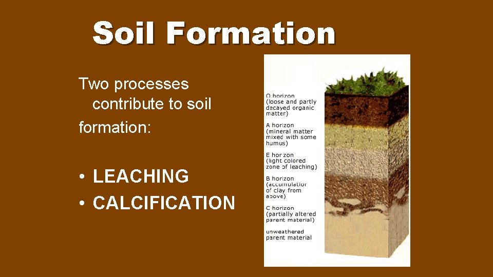 Soil and Natural Vegetation Do We Really Need