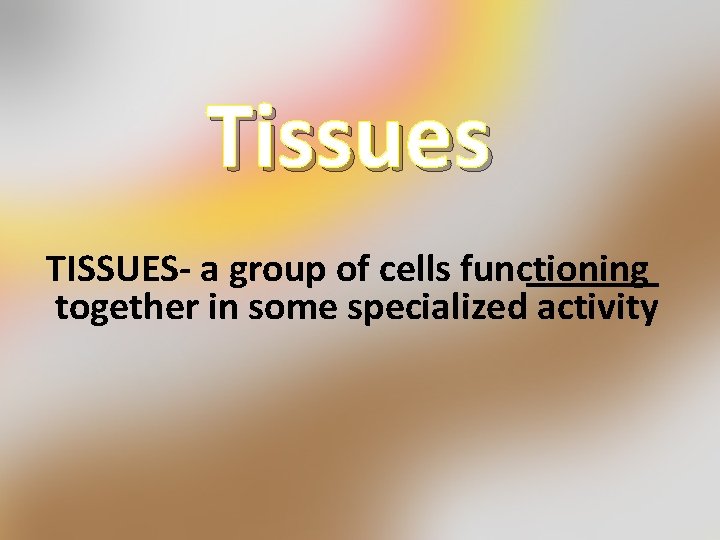 102 Bot Plant tissues Lab 6 Tissues TISSUES