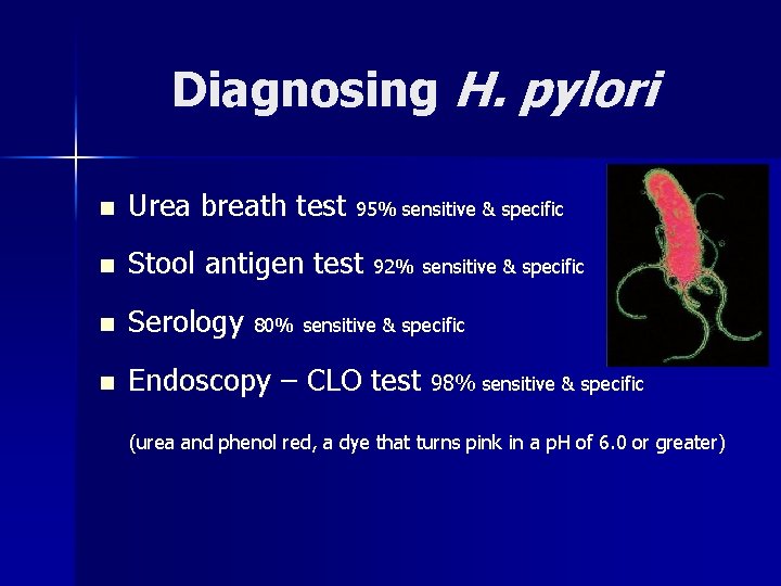 Dyspepsia Peptic Ulcer Disease and Helicobacter Pylori Do