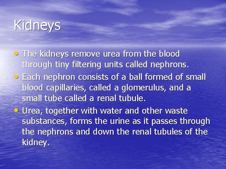The Urinary System Functions Excretion of aqueous wastes