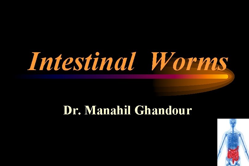 Intestinal Worms Dr Manahil Ghandour Introduction Intestinal worms