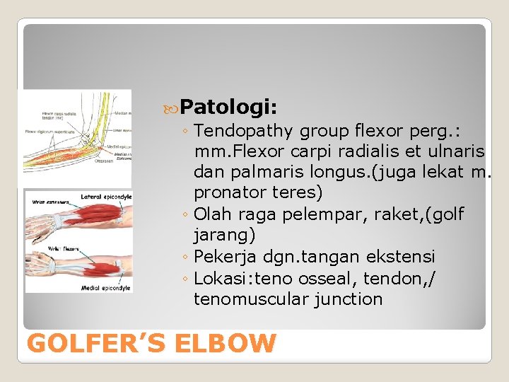 PENATALAKSANAAN FISIOTERAPI ELBOW Oleh Lenny SUPRA CONDYLAR FRACTURE