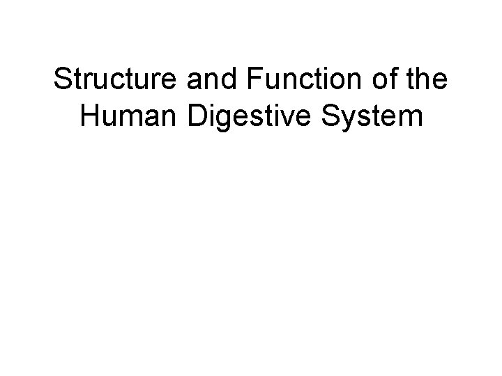 Structure and Function of the Human Digestive System