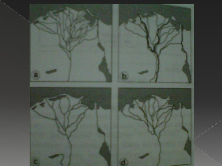 GENERALISASI Latar belakang dan konsep Generalisasi adalah proses