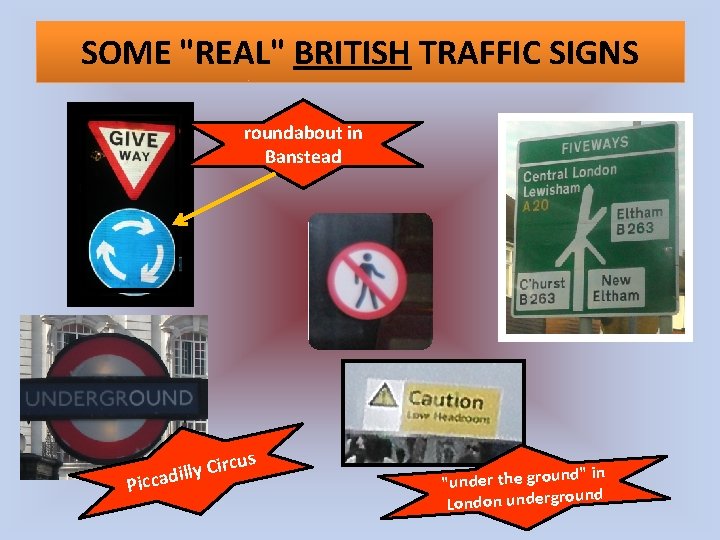Road Signs Professional English Cars II Autor Mgr