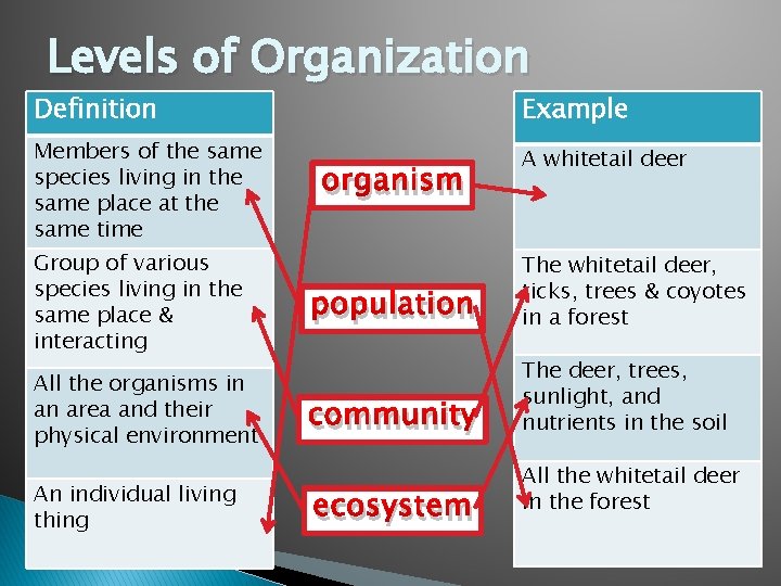 Chapter 4 Review Ecosystem or Not YES Coral