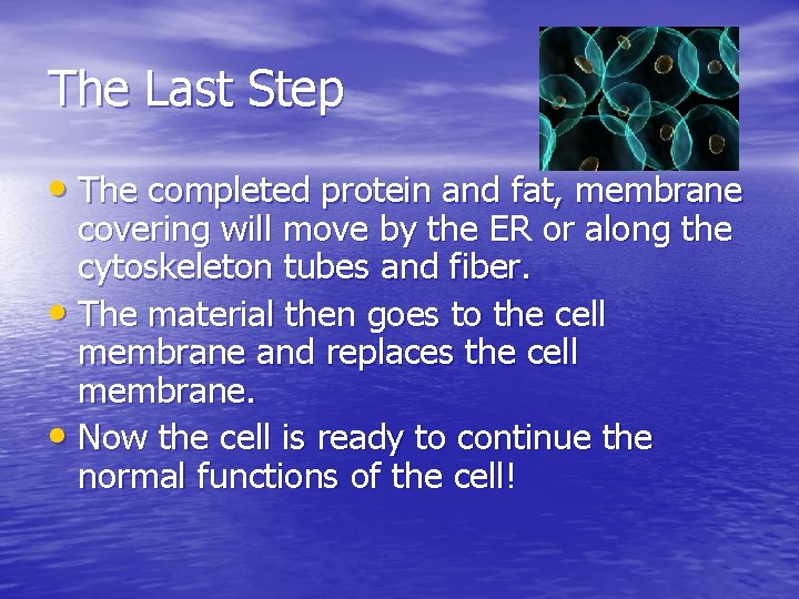 The Damaged Cells Surgery By Sally Rountree Reasons