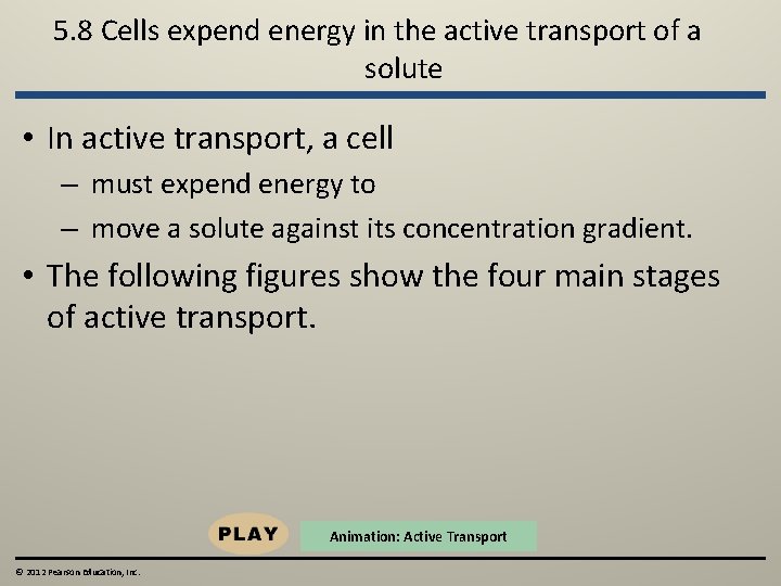 MEMBRANE STRUCTURE AND FUNCTION 2012 Pearson Education Inc