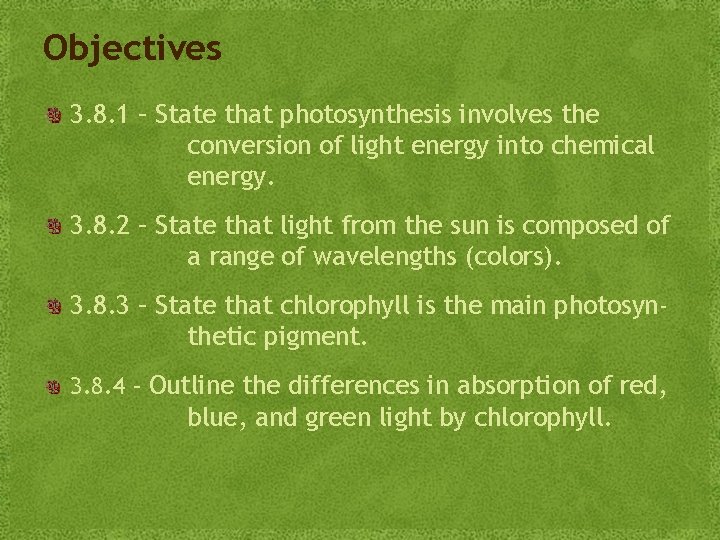 Photosynthesis Objectives 3 8 1 State that photosynthesis