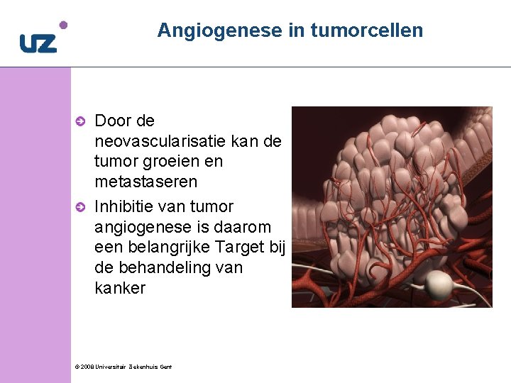 Doelgerichte en gepersonaliseerde medicatie new hot spots bij