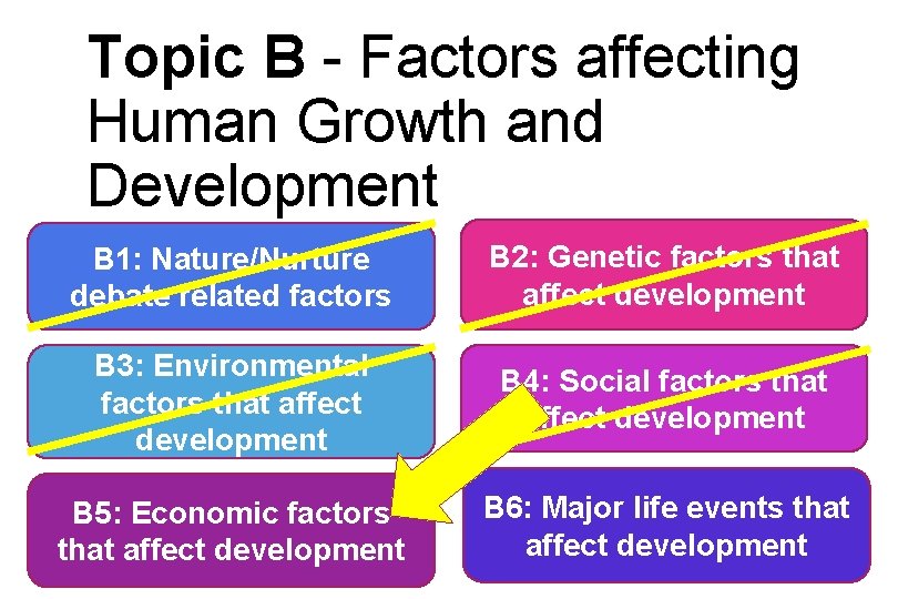 Topic B Factors affecting Human Growth and Development