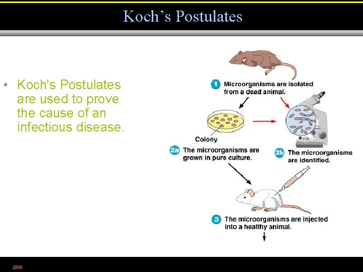MICROBIOLOGY Chapter 14 Principles of Disease and Epidemiology