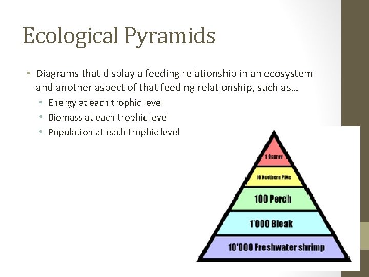 Food Webs and Pyramids Feeding Interactions Terms AutotrophProducers