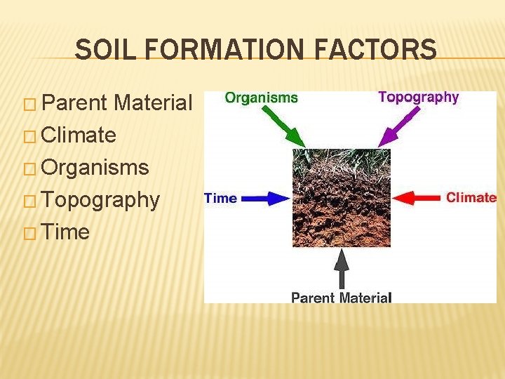 SOILS WHAT IS SOIL Formed by weathering erosion
