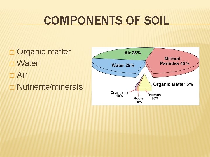 SOILS WHAT IS SOIL Formed by weathering erosion